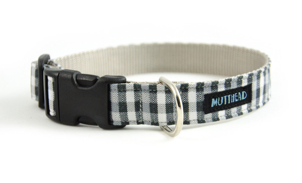 Buckle Dog Collar in Sully – Mutthead