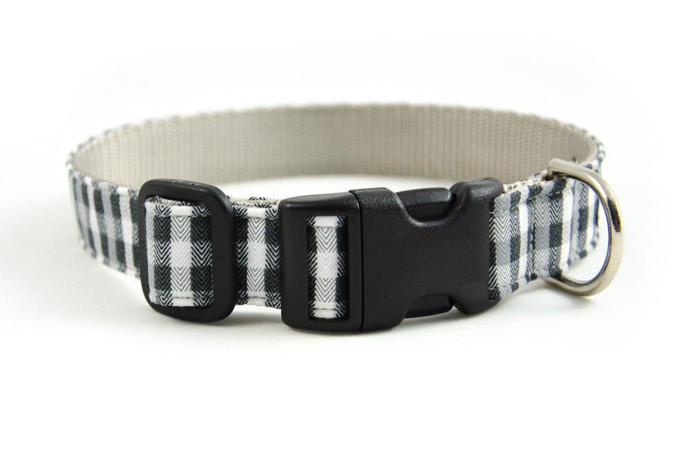 Buckle Dog Collar in Sully – Mutthead